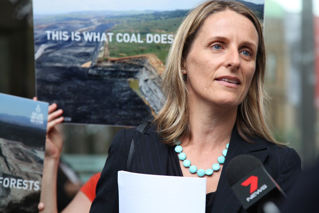Sue Higginson: A champion of community interest and environmental ...