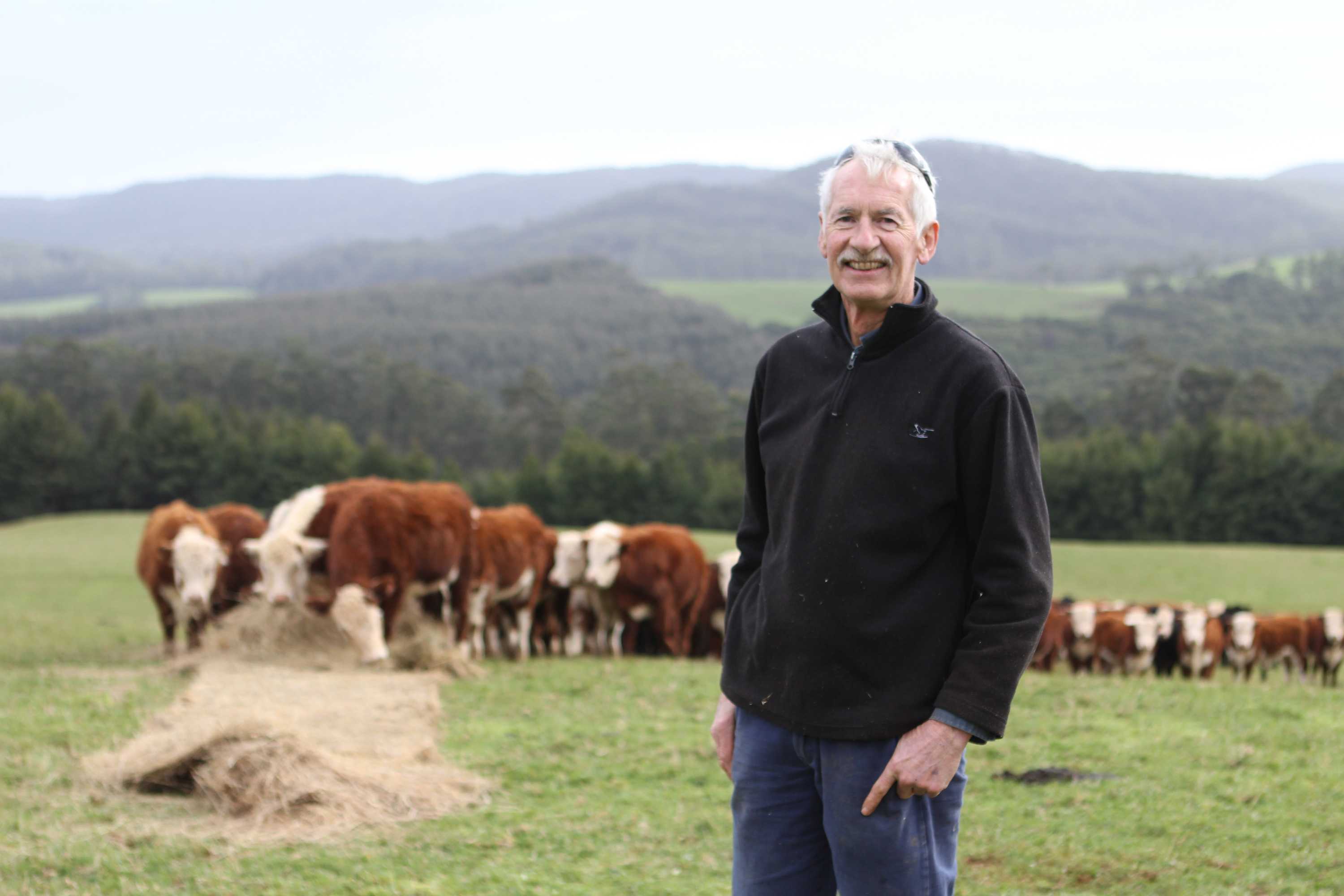 Tasmanian farmers sow agroforestry seeds as demand for timber rises ...