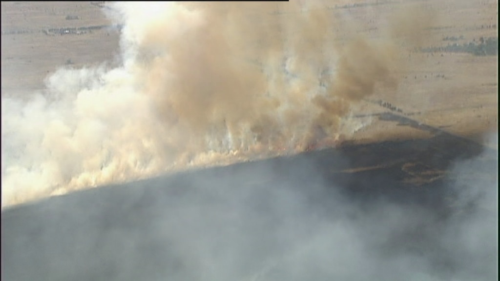 Fast-moving blaze in Little River contained - ABC News