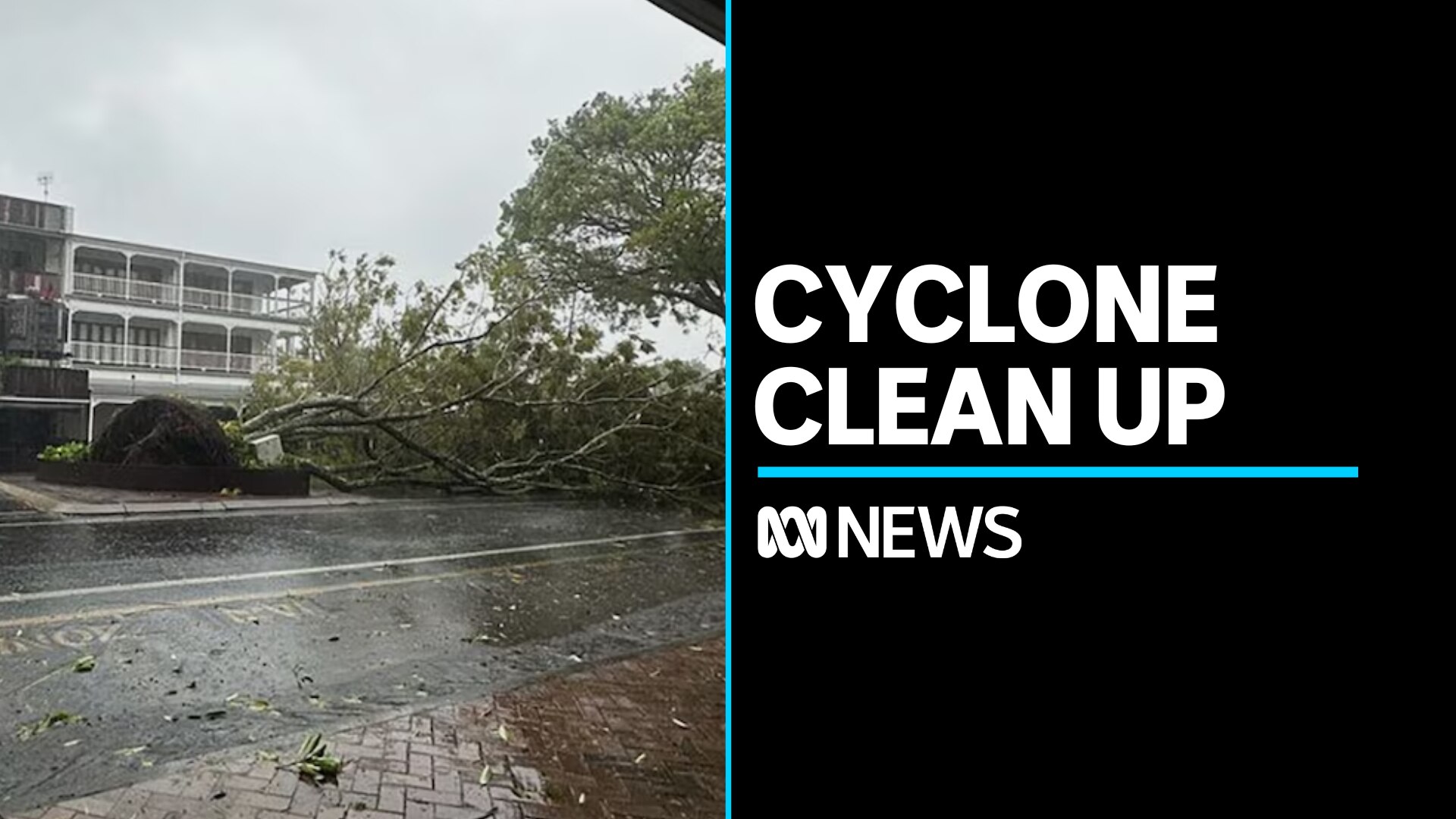 Mayor of Douglas Shire details effects of Cyclone Jasper - ABC News