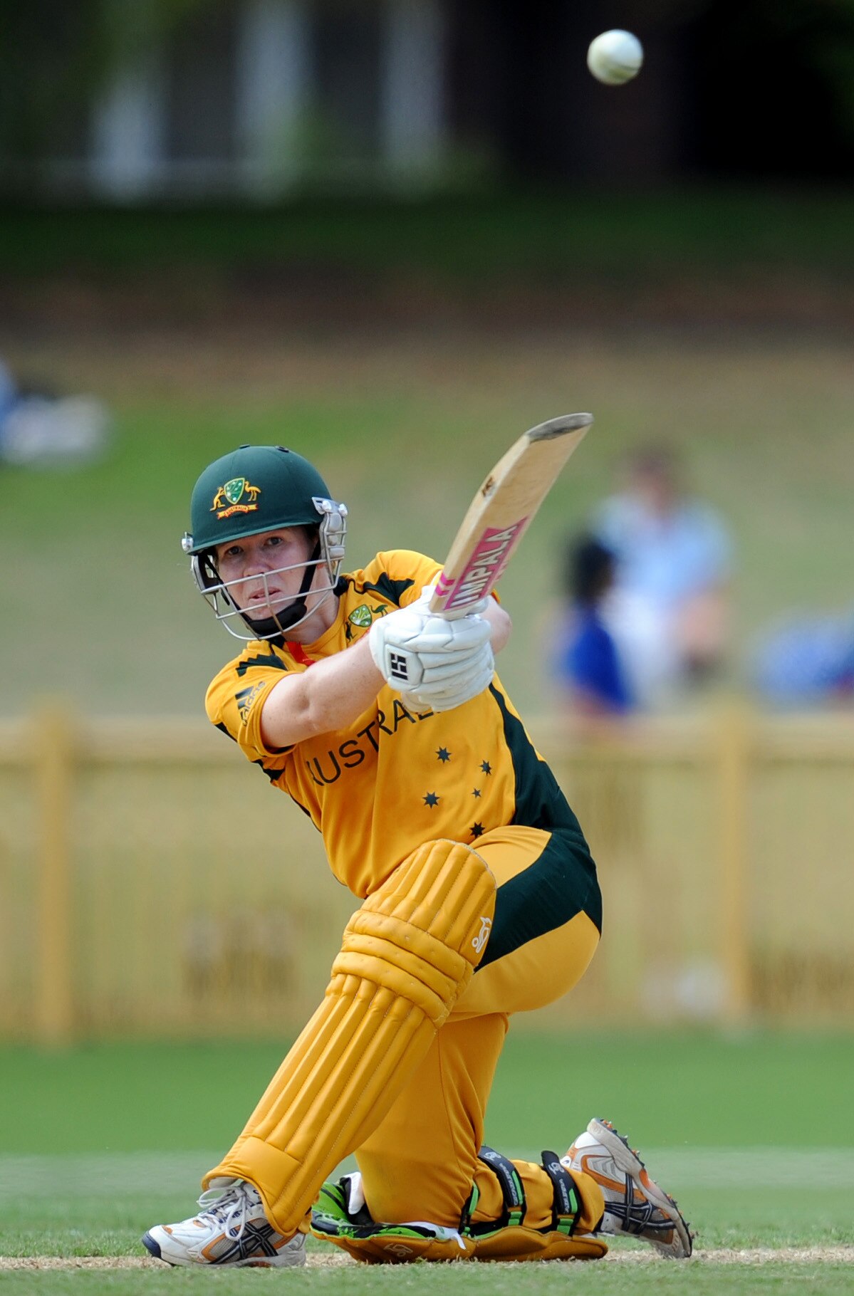 Alex Blackwell shines a light on Women's Cricket - ABC listen