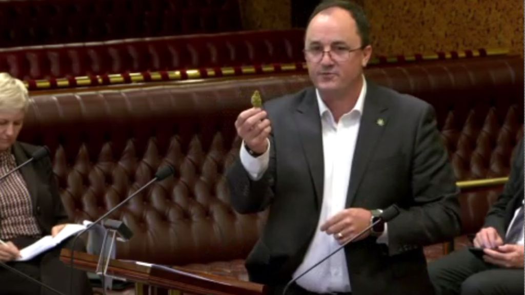 ‘Bud’ of cannabis held up in the NSW parliament - ABC News