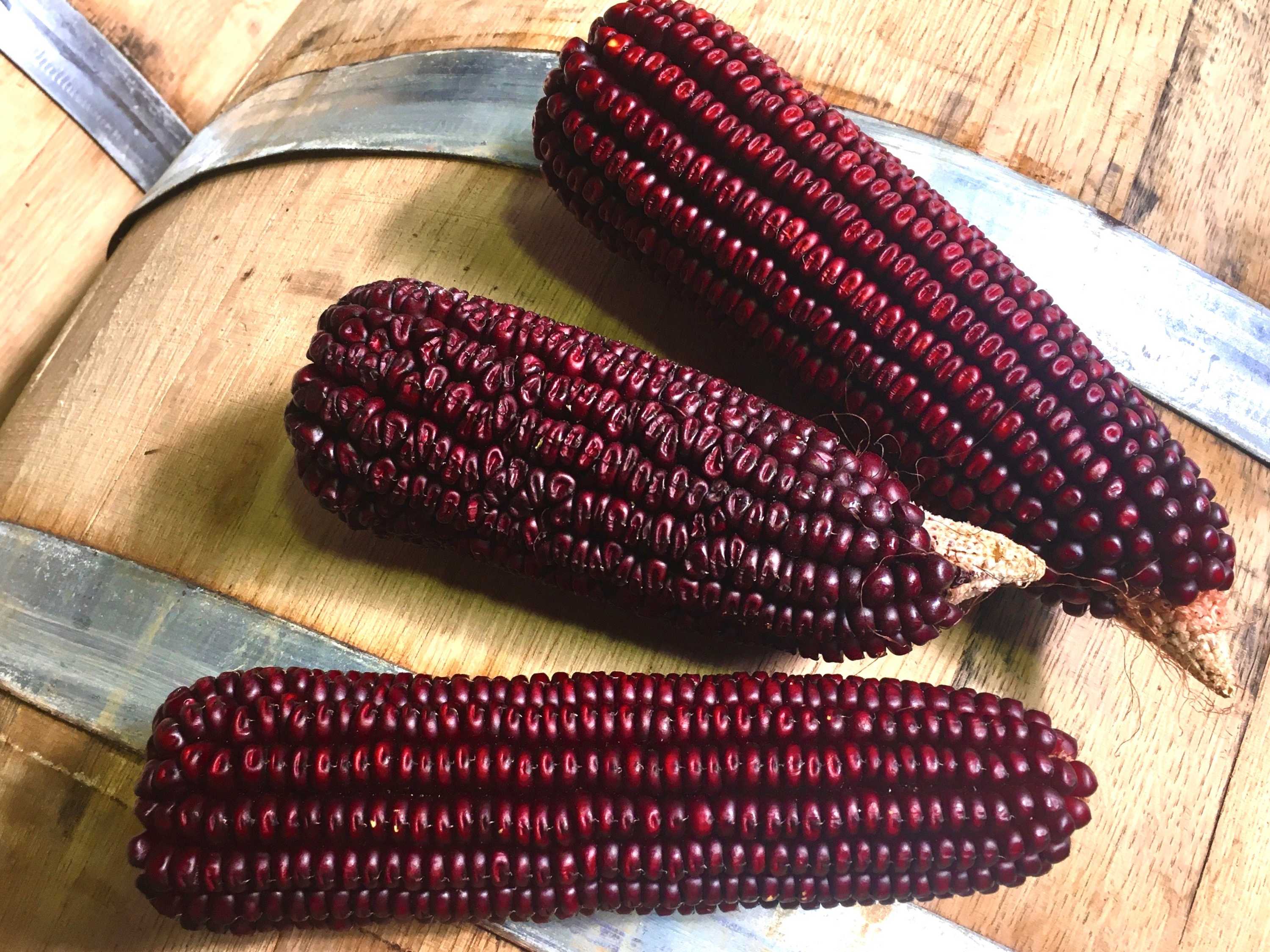 Australia's first red corn whiskey and farming helping new migrants ...