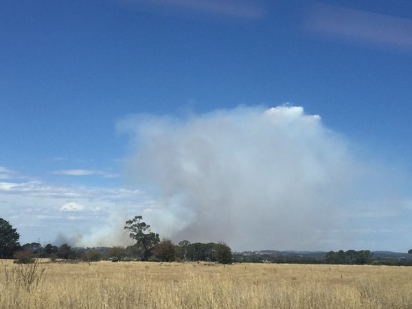 Home lost after out-of-control grassfire at Edgecombe in central ...
