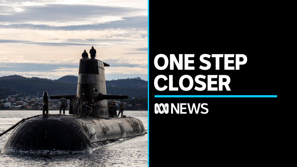 Footage shows the python swallowing a wallaby in far north Queensland ...