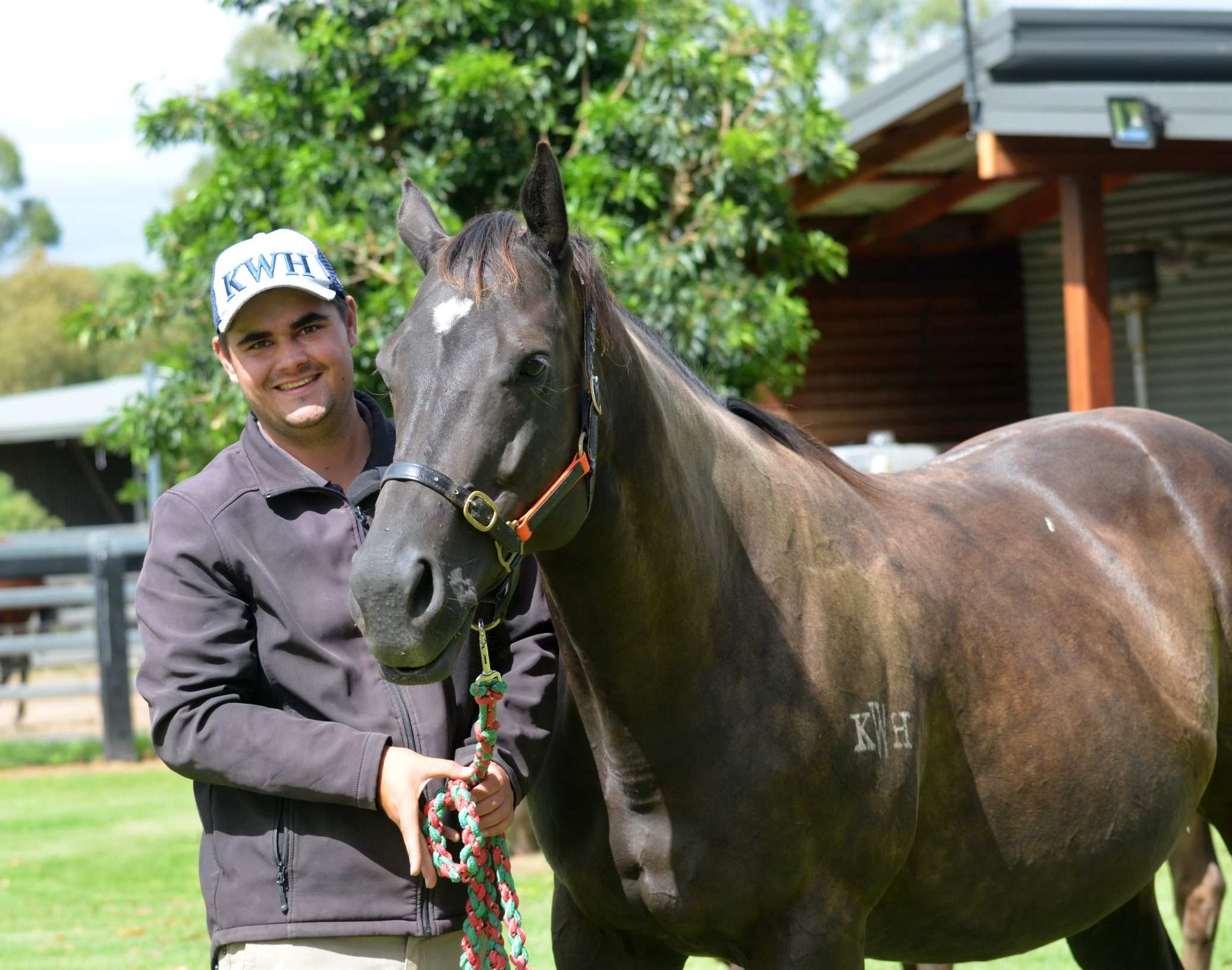 Equine training program getting new hands on deck at local studs - ABC ...