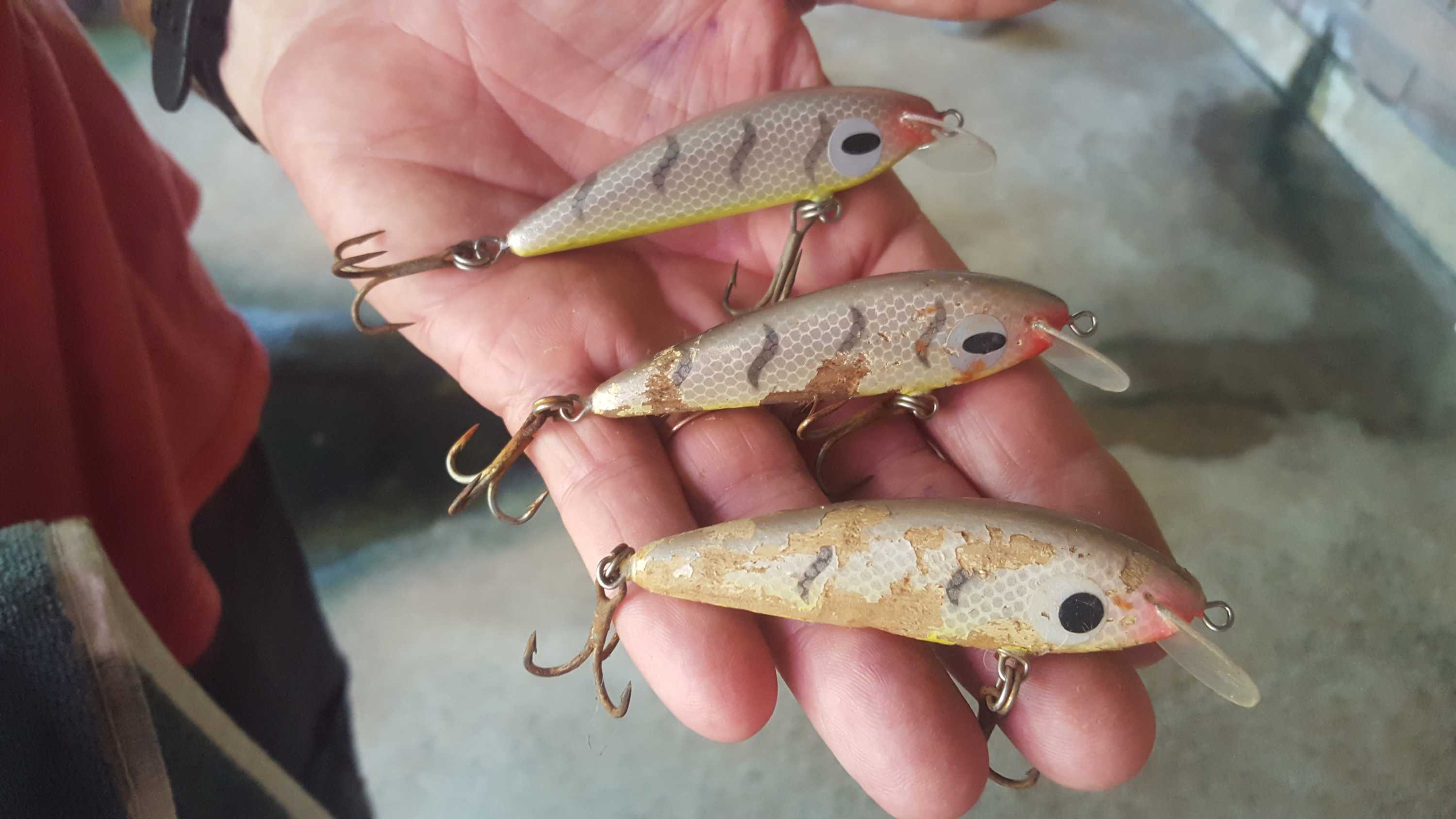 The joys and challenges of DIY timber fishing lures - ABC listen
