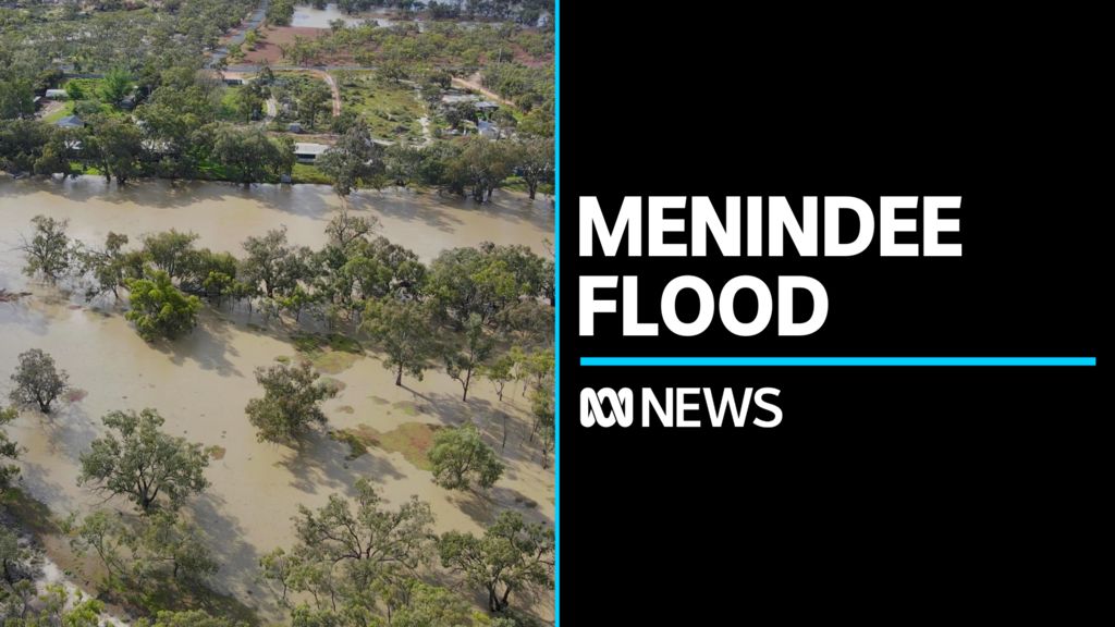Darling River nearing homes at Menindee in far west NSW - ABC News