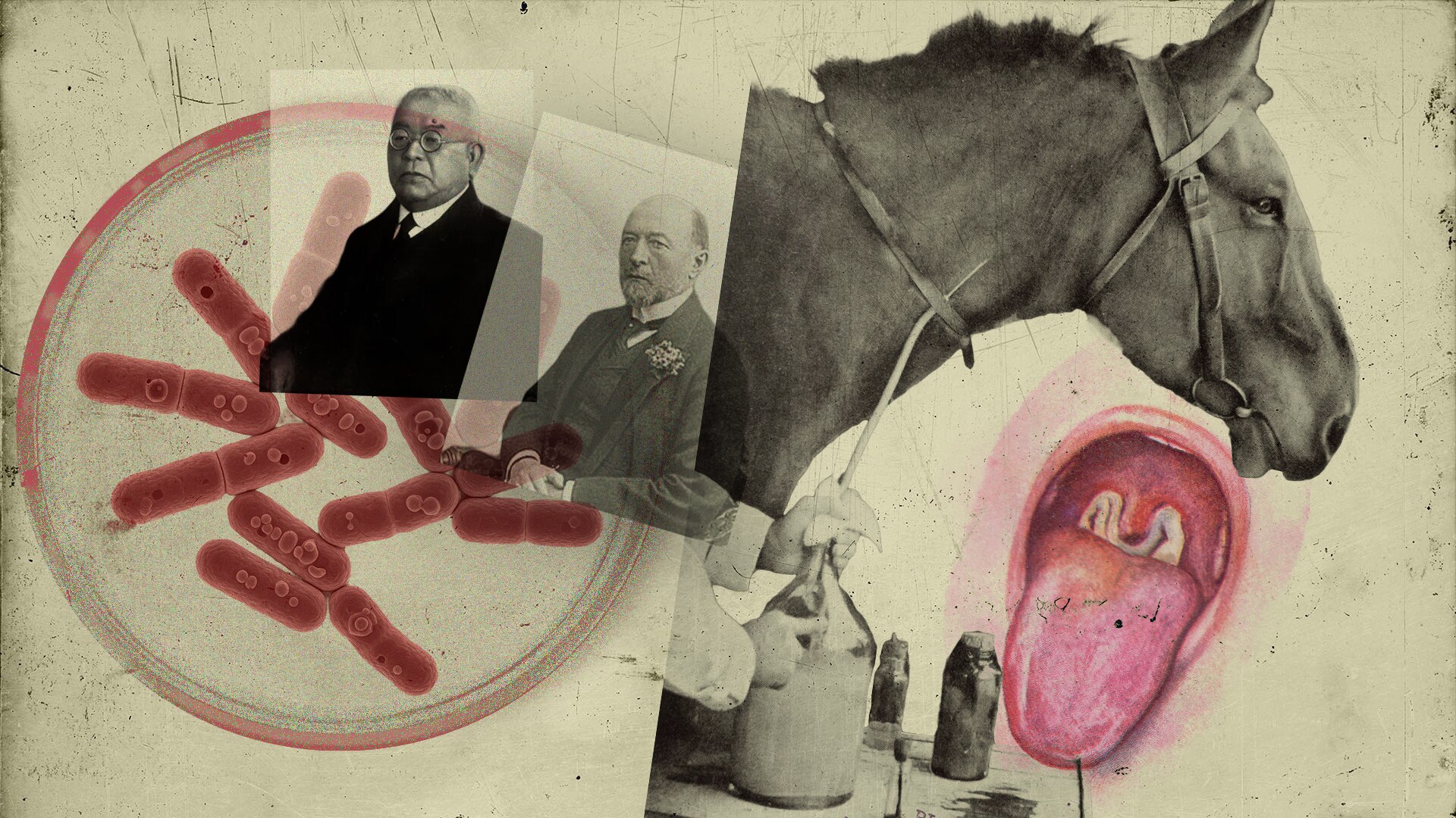 Diphtheria - Behind The News