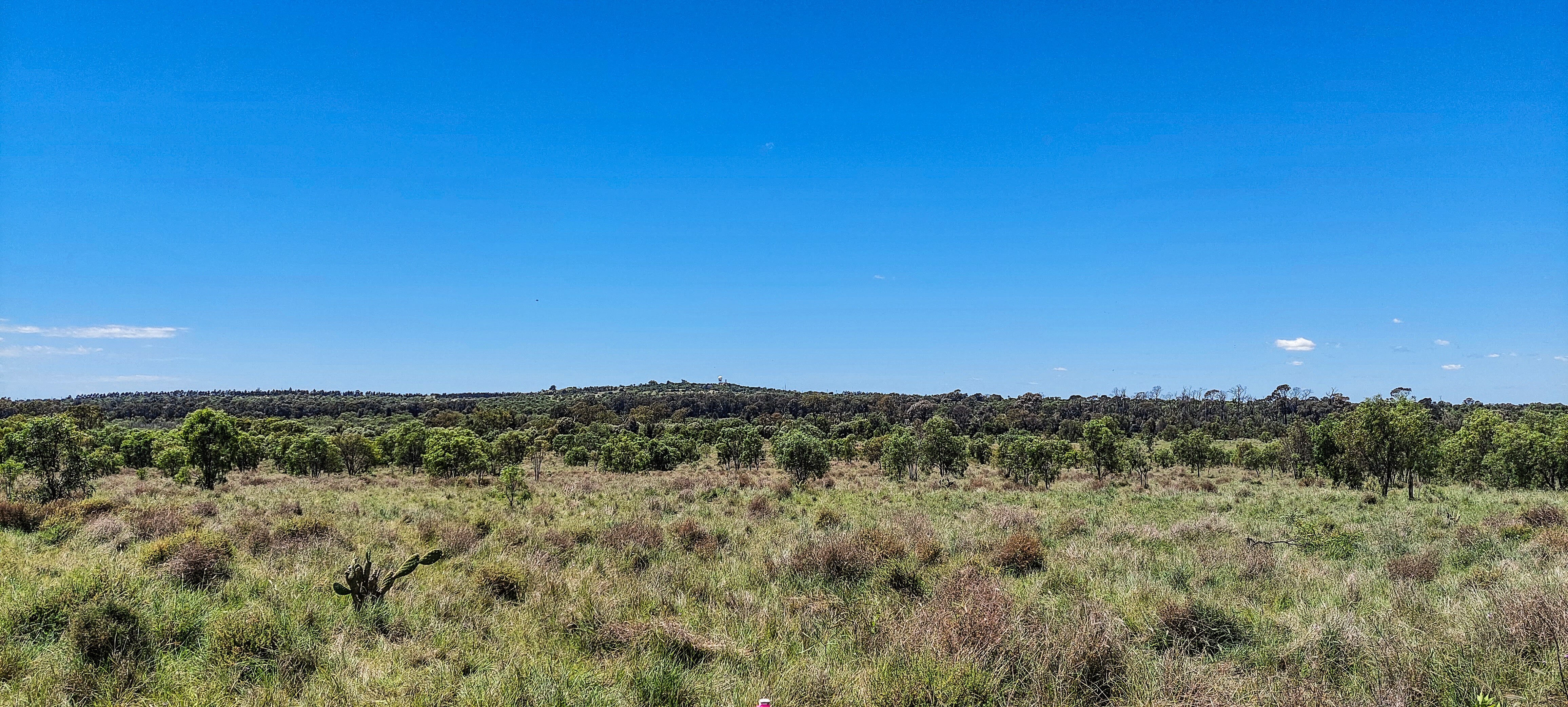 New Acland coal mine expansion begins in Queensland - ABC News