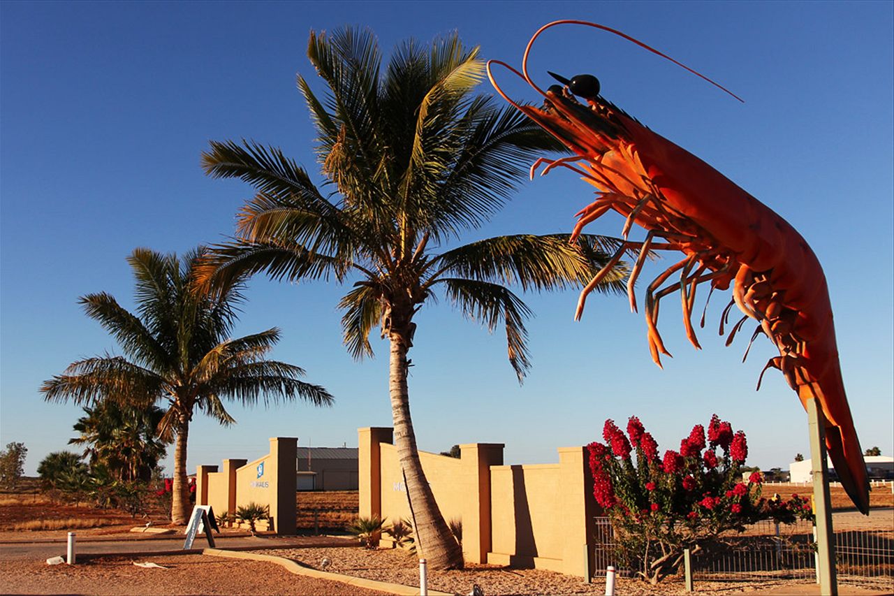 Exmouth's prawn trawlers ready to hit the water - ABC News