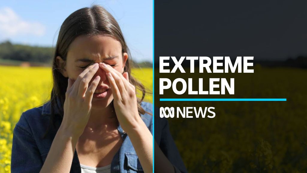 Victorians who suffer from hayfever and asthma told to prepare - ABC News