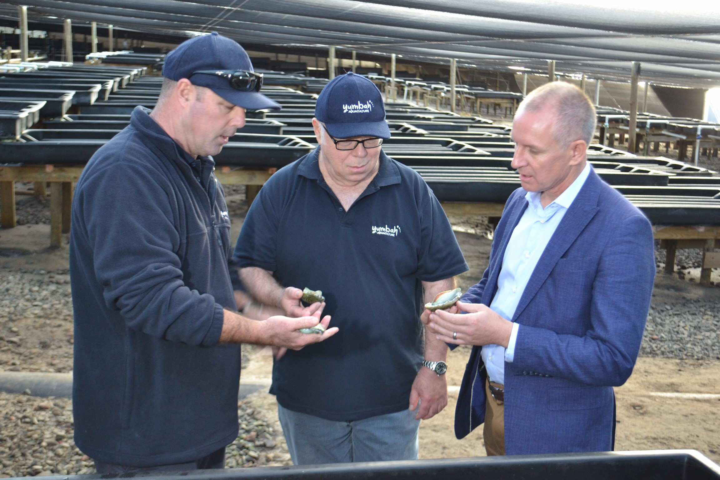 South Australian Government hoping to make political inroads on ...