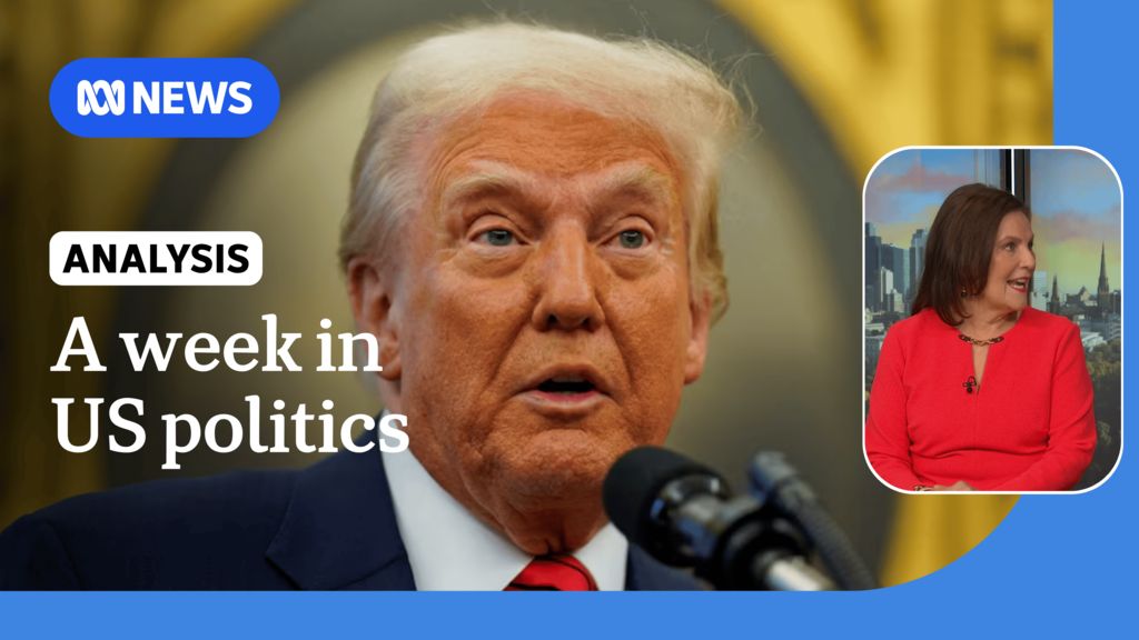 US political analyst breaks down a week in Washington - ABC News