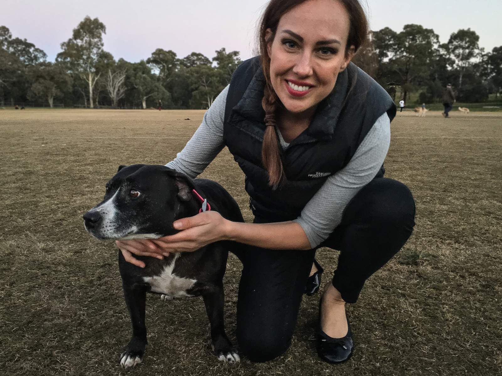 How dogs think — and what they think of us - ABC listen