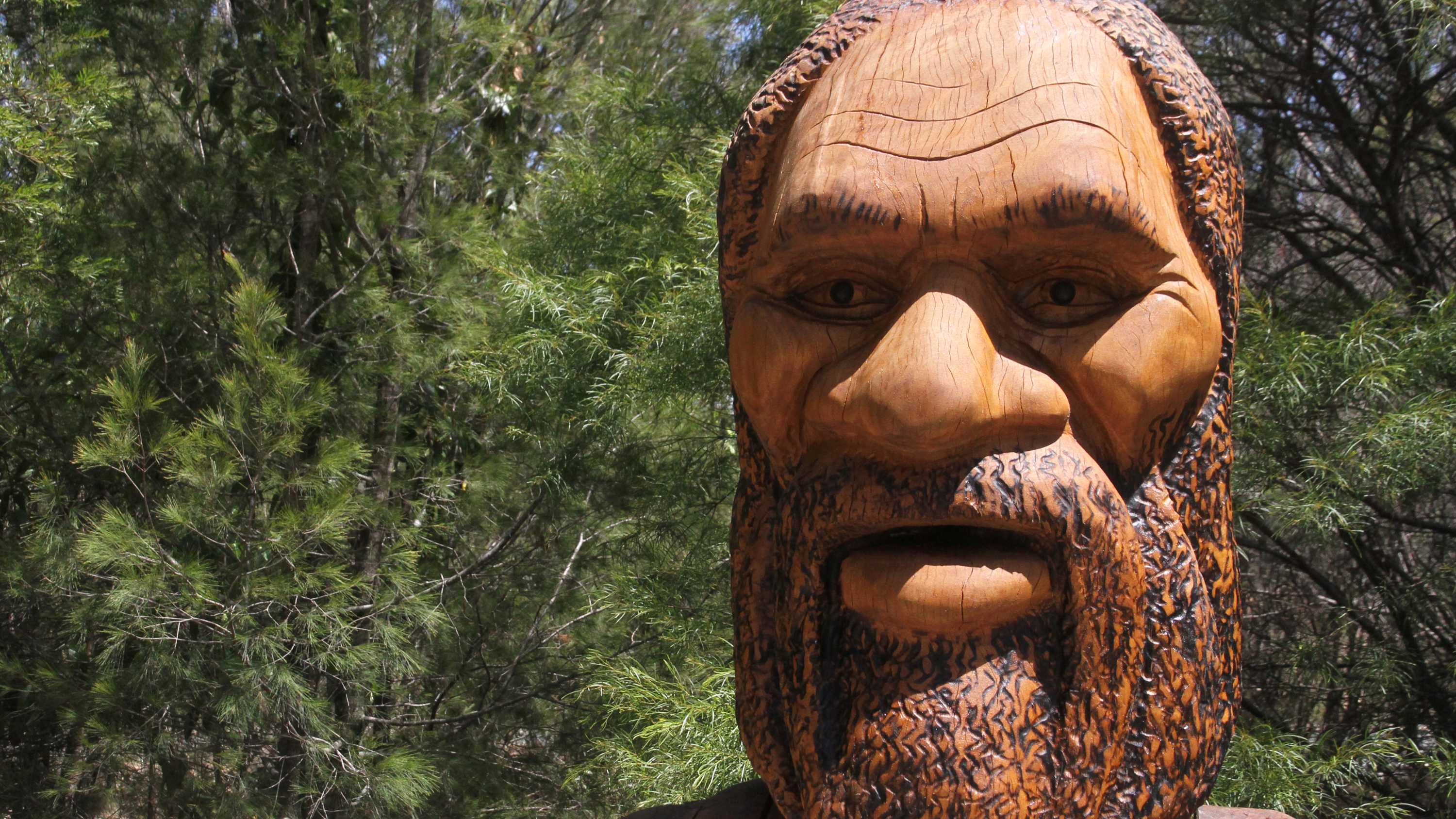 Native bee hive honours Indigenous Dreaming story of Jabreen the ...