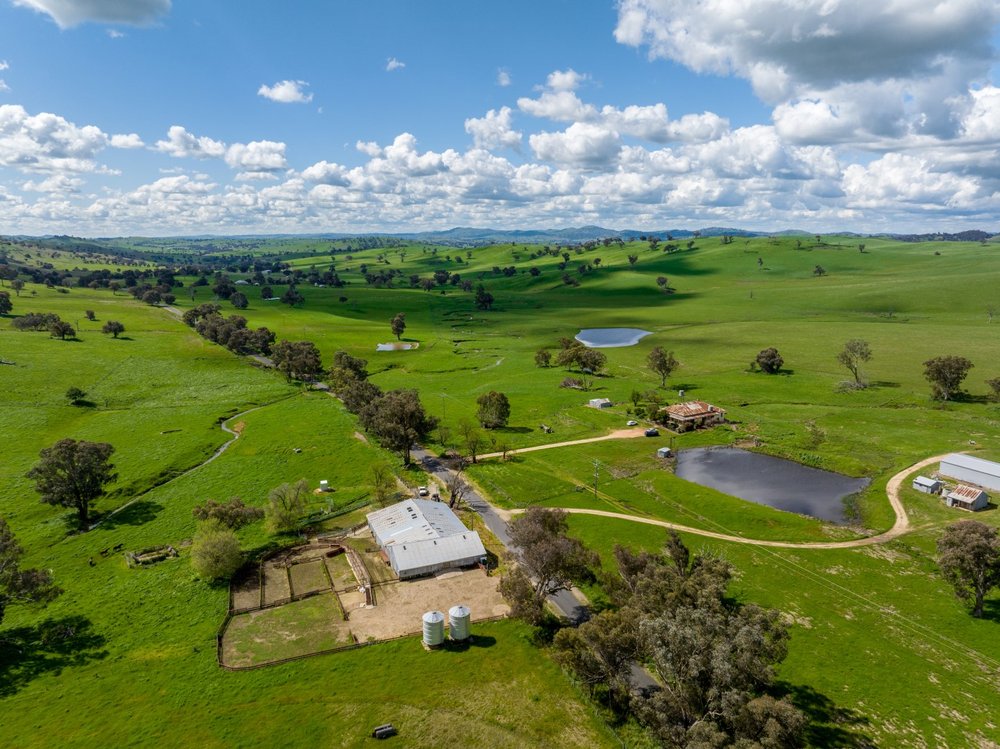 NSW rural property prices remain at historic highs despite interest ...