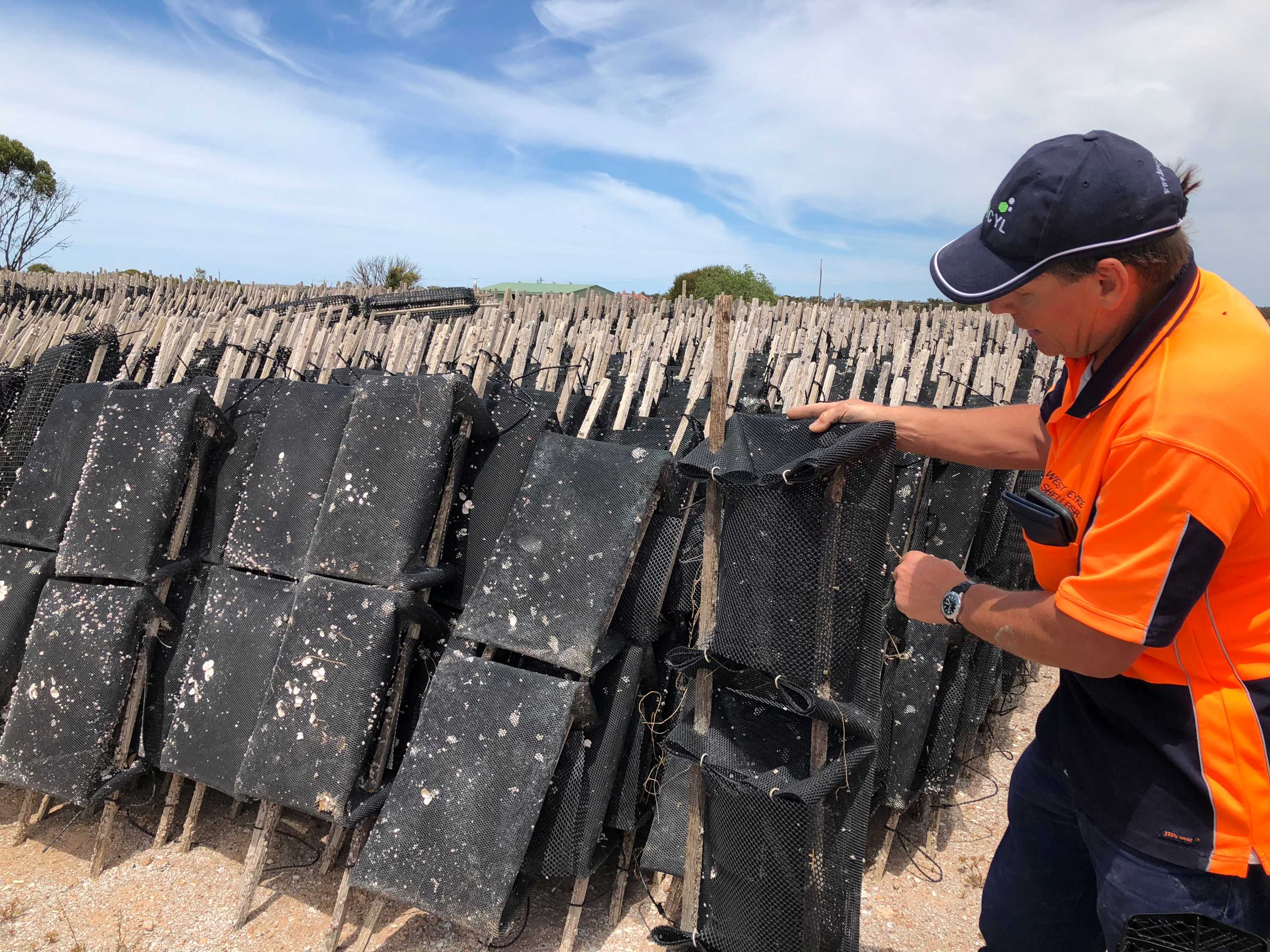 How frustration with oyster baskets led to an innovation award for a SA ...