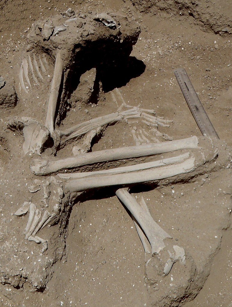 Ancient massacre site in Africa points to violent tribal past; women ...