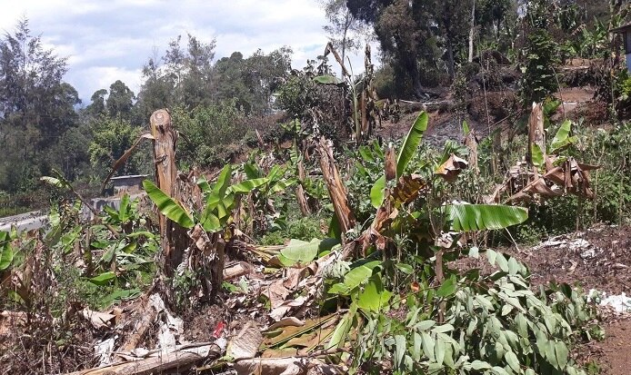 Tupla dai ikamap pinis long Enga LLG ileksen - ABC News