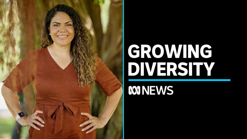 Diverse candidates changing the face of Australian Parliament - ABC News