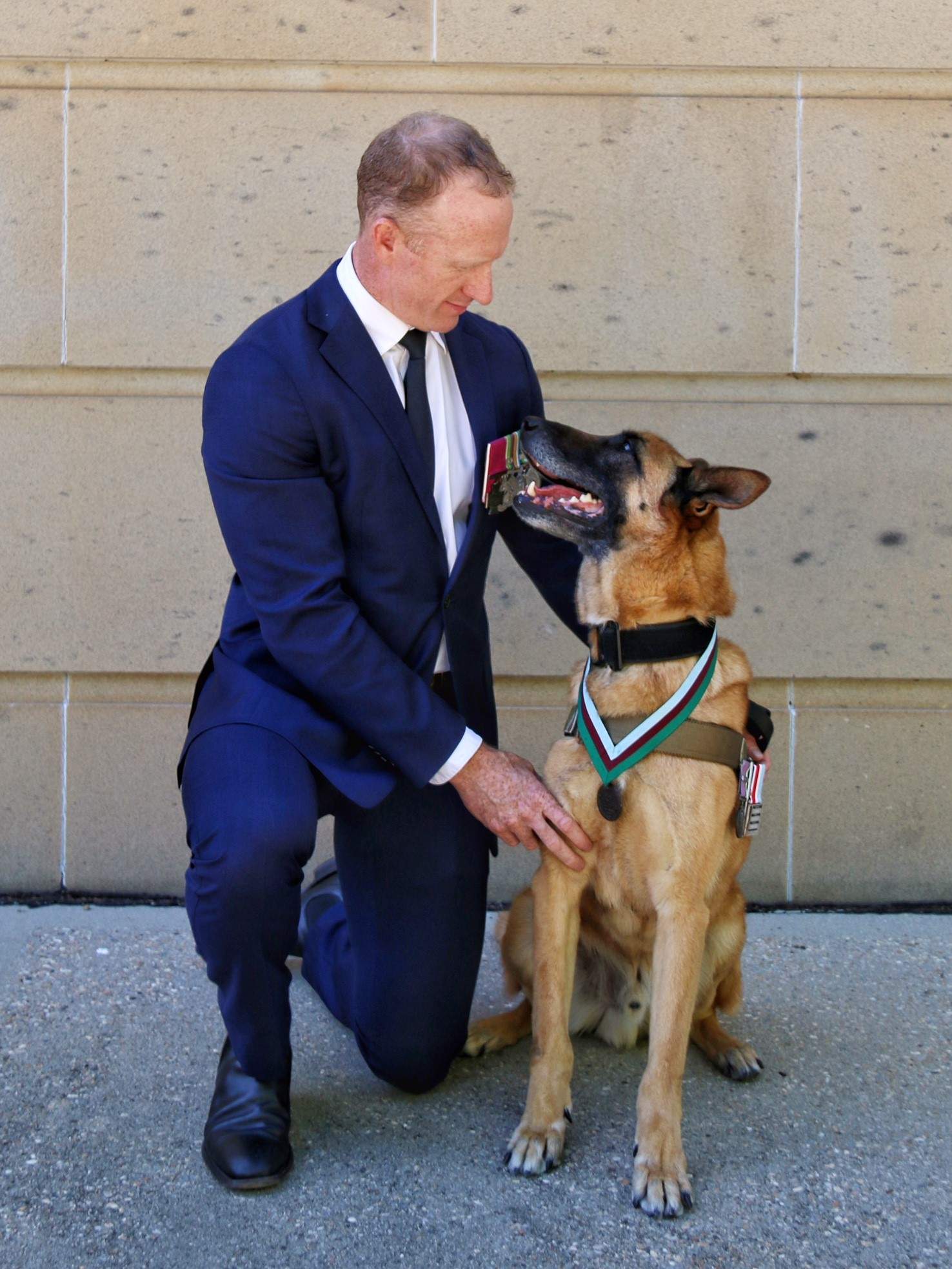 'Victoria Cross for animals': Military dog Kuga posthumously awarded ...
