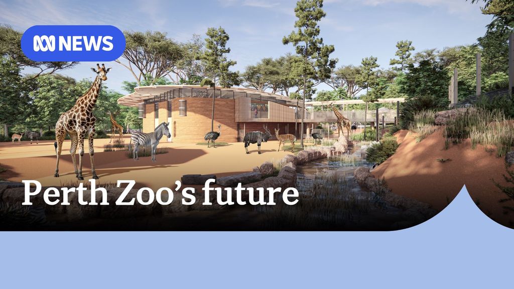 Once the elephants are gone, what's next for Perth Zoo? - ABC News