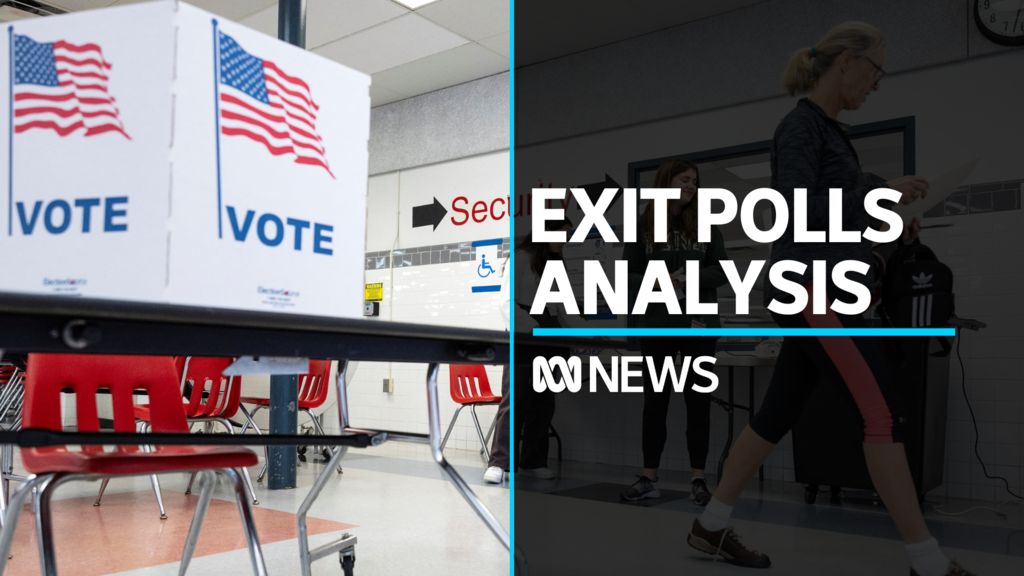 What are the issues dominating the US midterms' exit polls? - ABC News