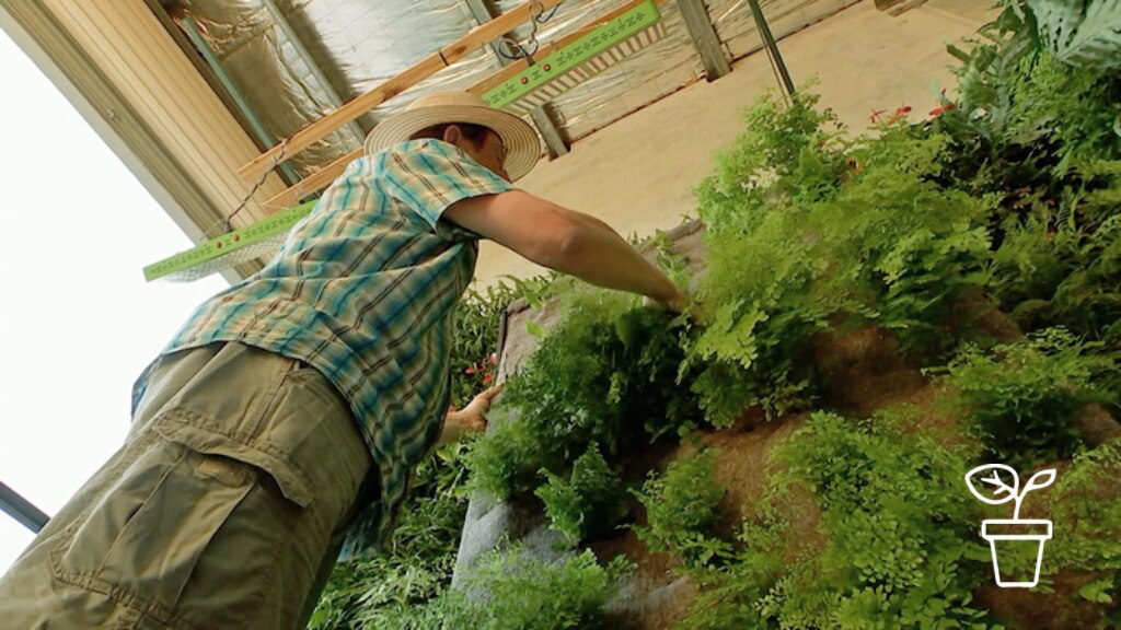 Hydro Heaven - Gardening Australia