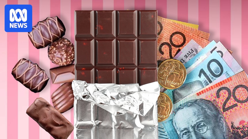 Australian grown chocolate set to boom - ABC News Australian grown chocolate set to boom - ABC News