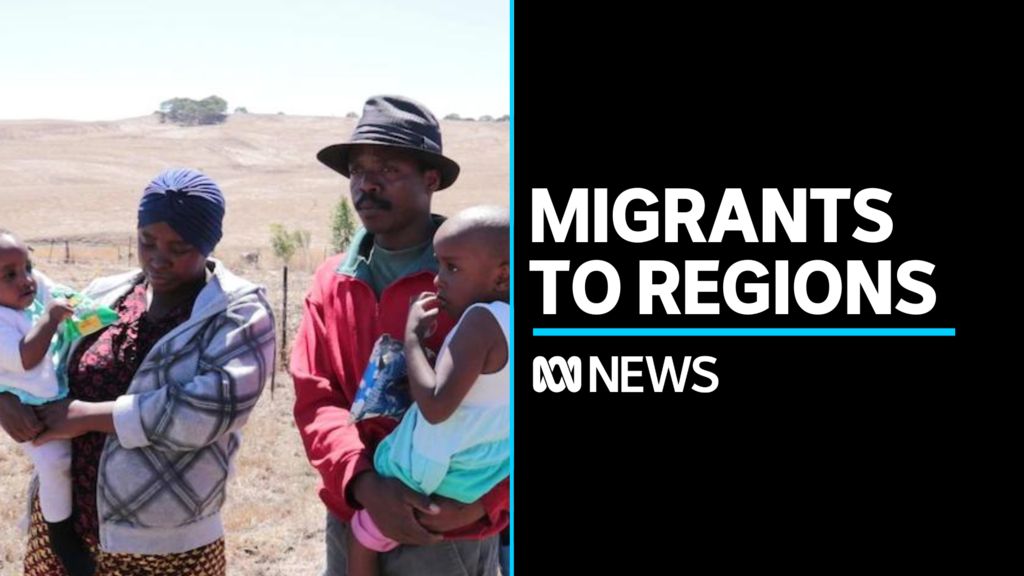 Calls for the govt to make national plan to attract migrants to the ...