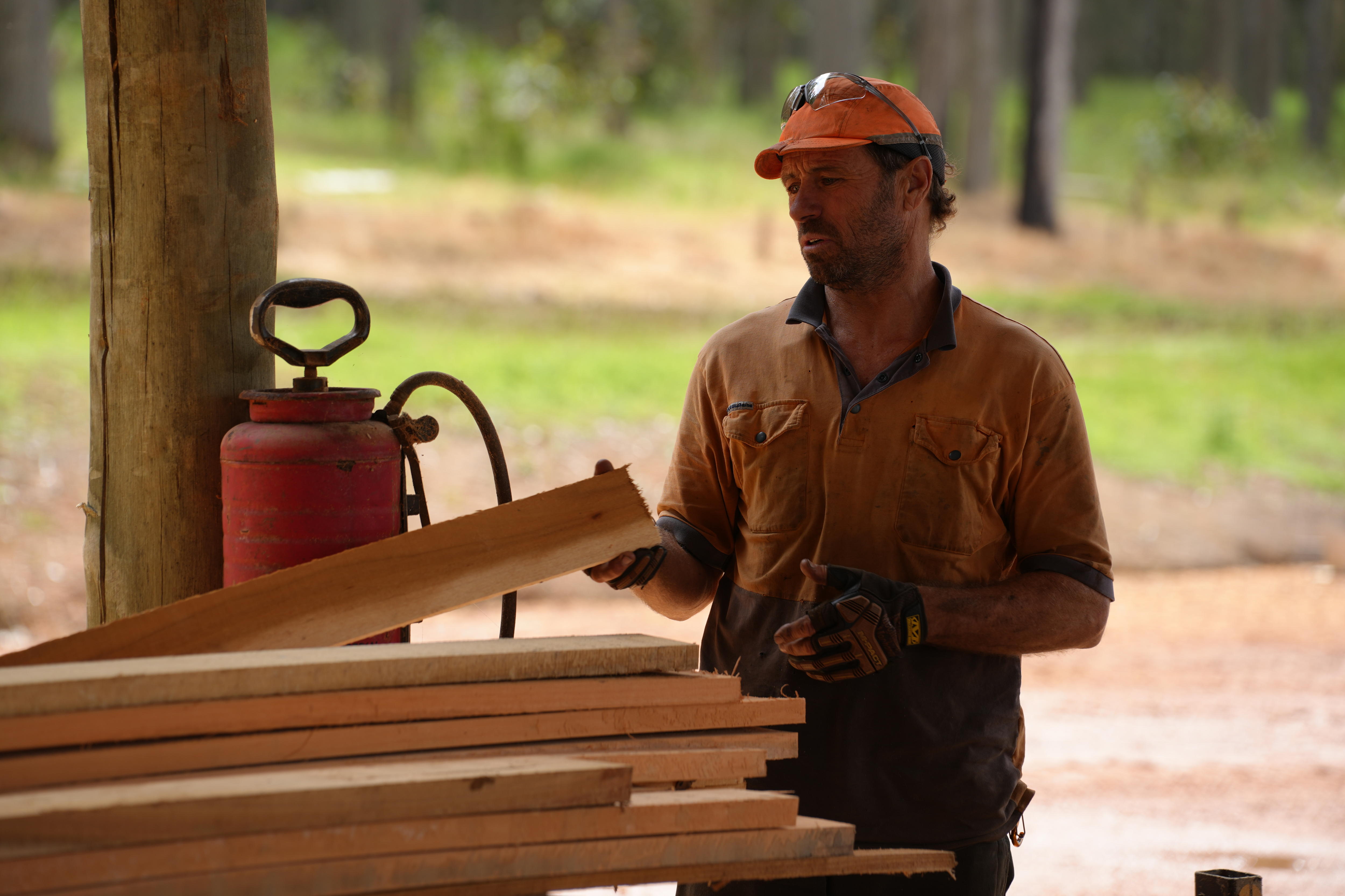Australian hardwood timber prices double one year on from native ...