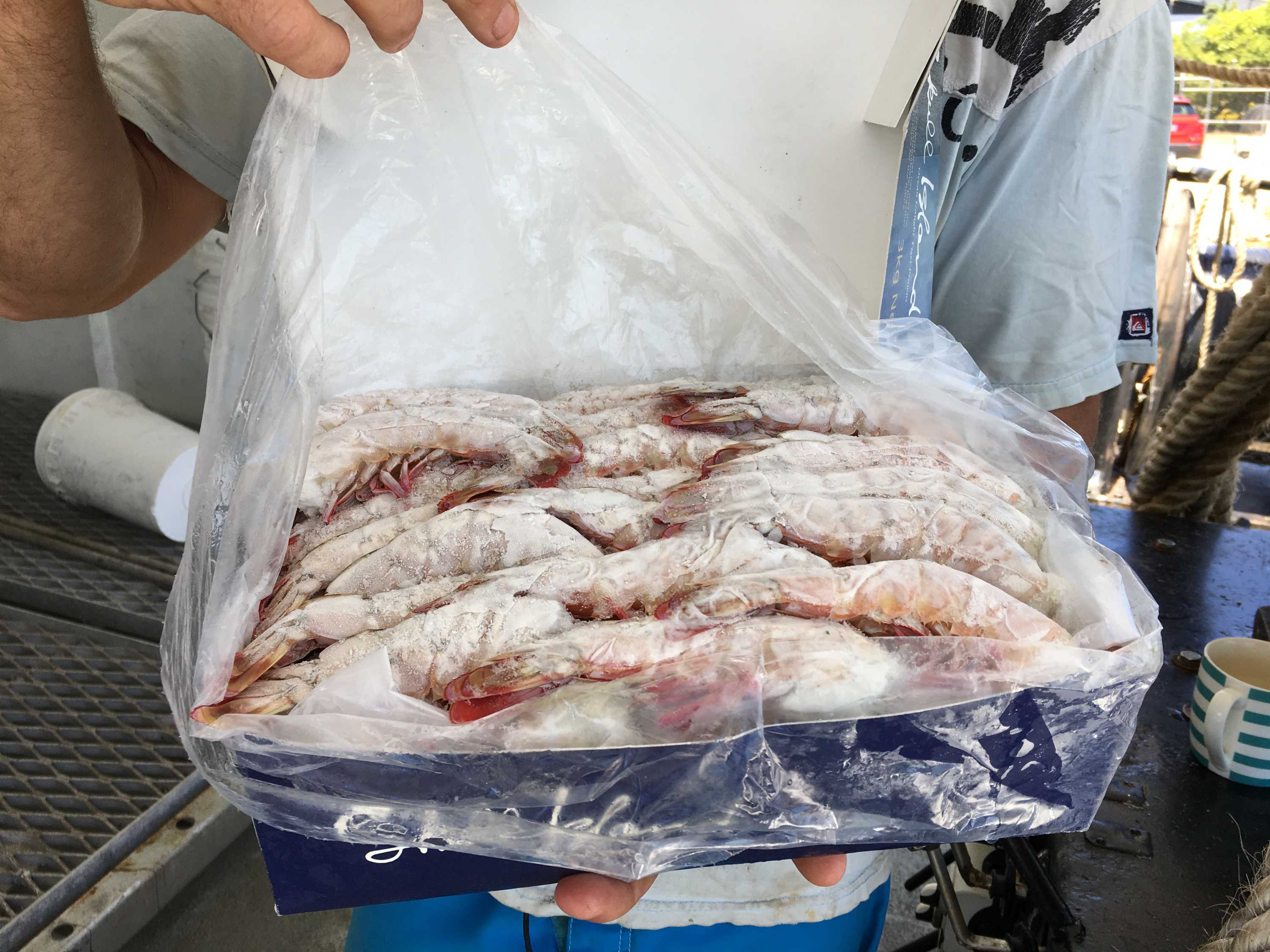 Veteran trawler skipper snares 'top boat' as northern prawn fleet ...