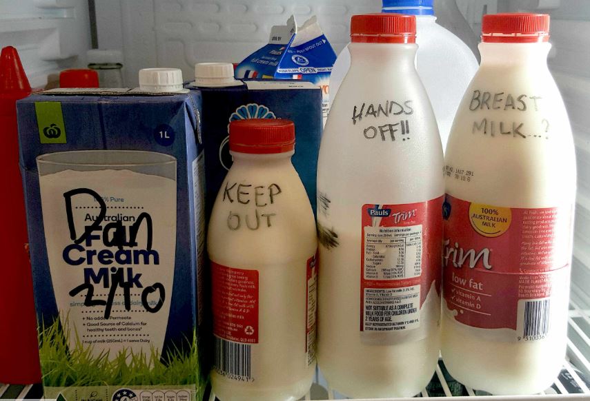 Here's how you can use game theory to stop people stealing your milk at ...