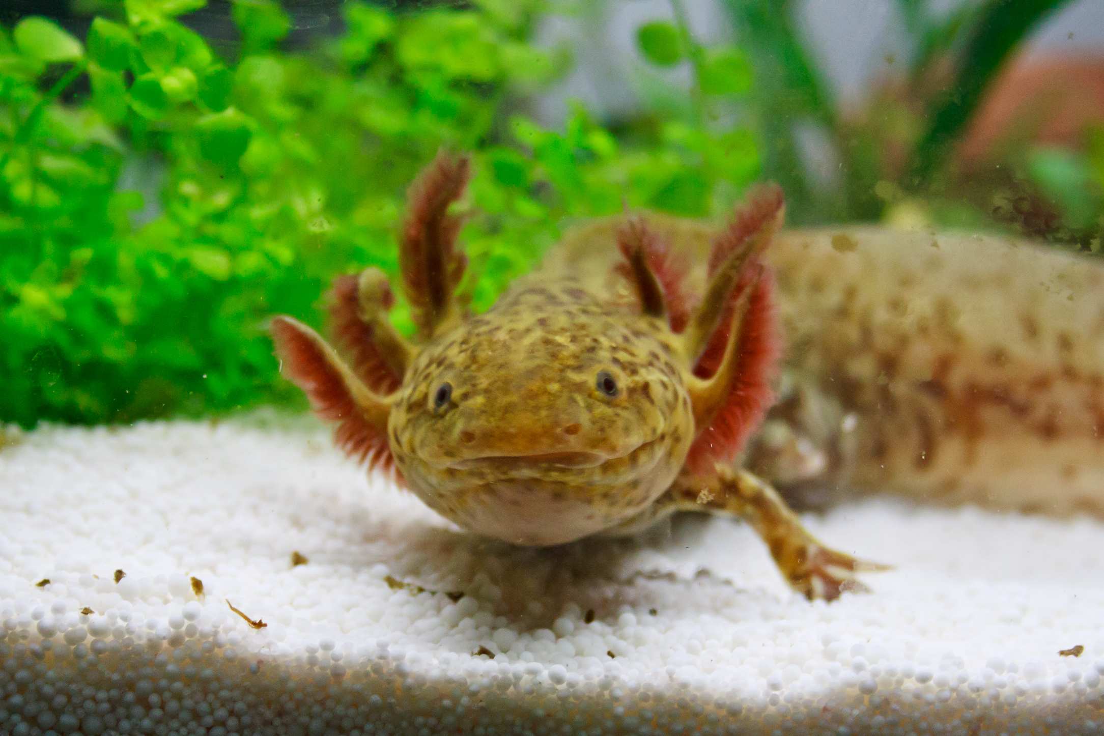 Weekends - ABC listen