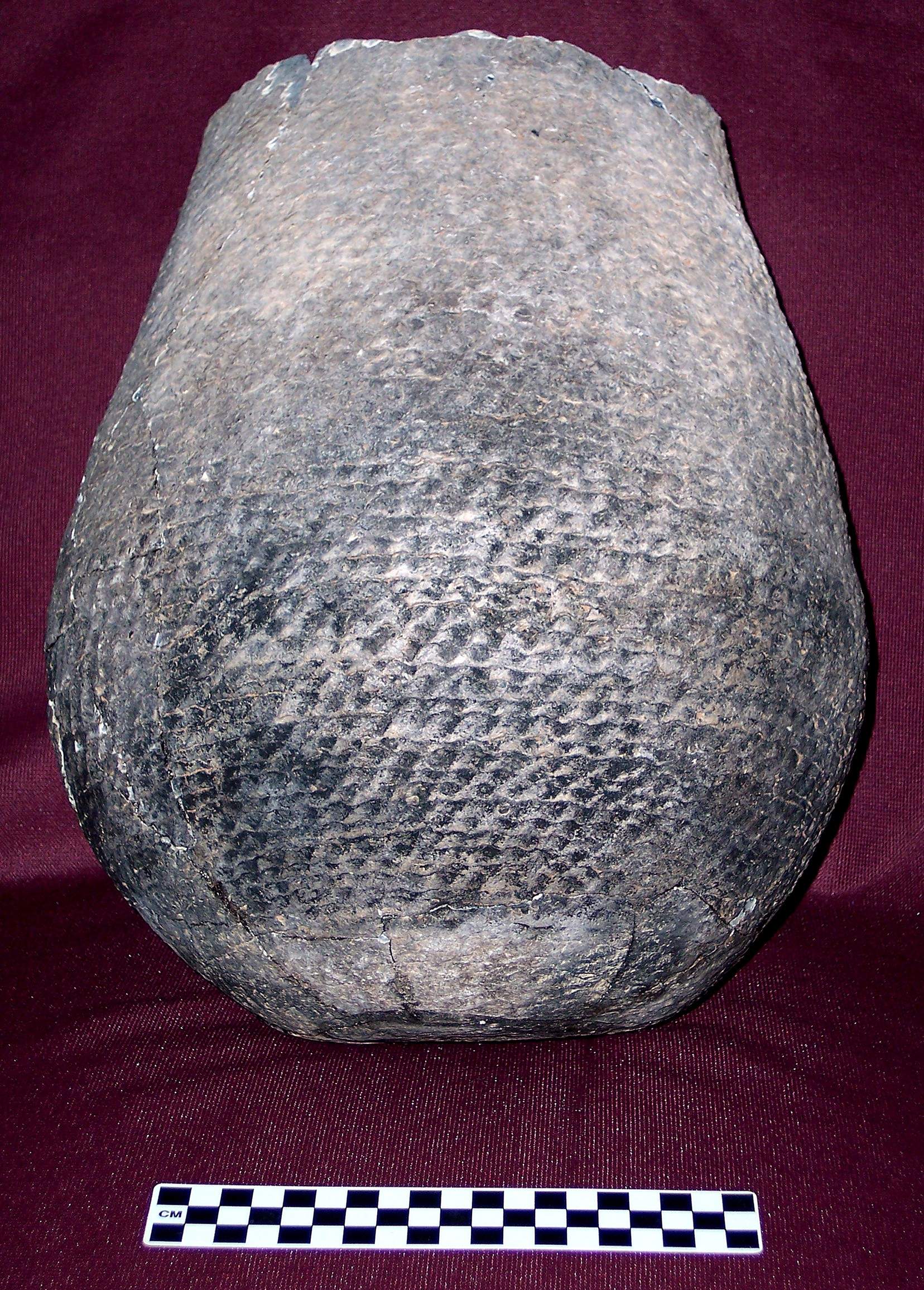 Ancient fingerprints and forensic science challenge ideas about 'women ...