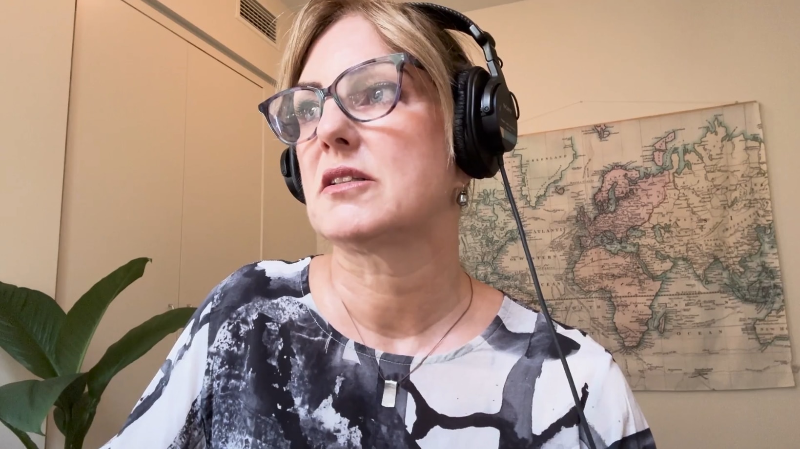 Reporter Anne Connolly confronts Garry Davis - ABC News