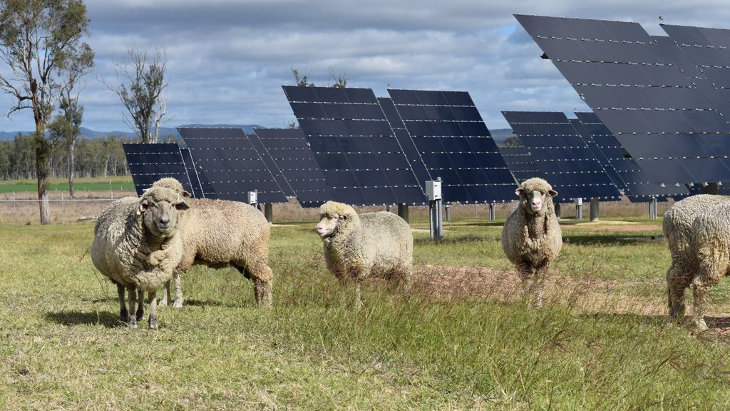 Farming the Sun: Queensland's solar boom - ABC News