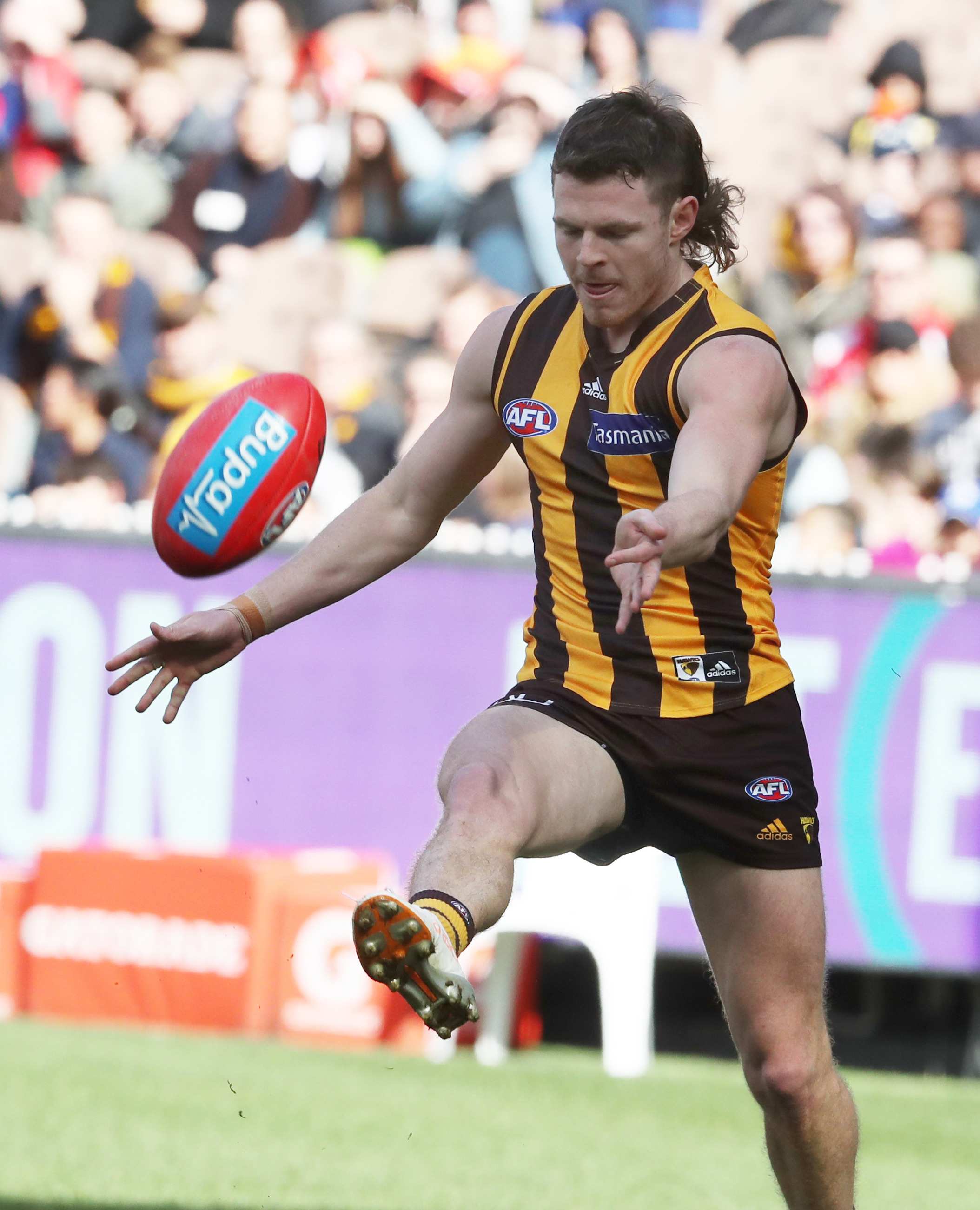 Hawthorn's lesser lights show against Geelong they could be valuable in ...