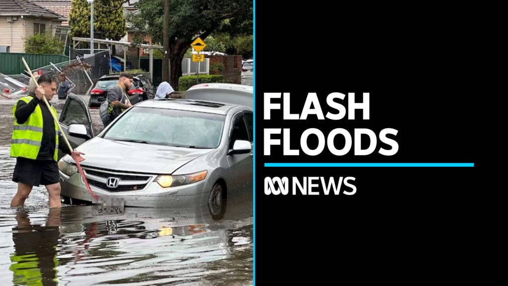 Weather - Topic - ABC News