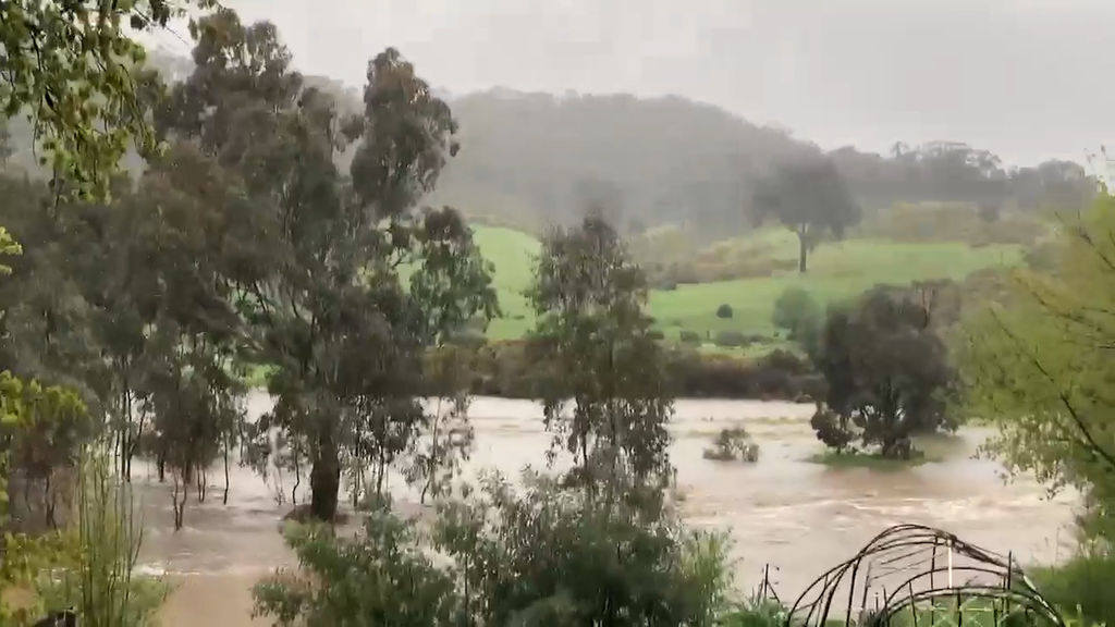 Forest Creek Chewton - ABC News