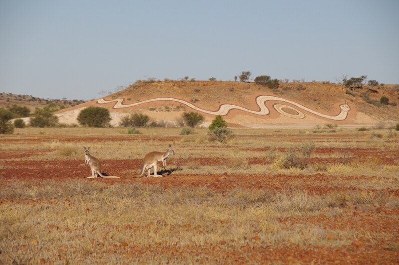 Outback sculptures reveal dreamtime stories - ABC News