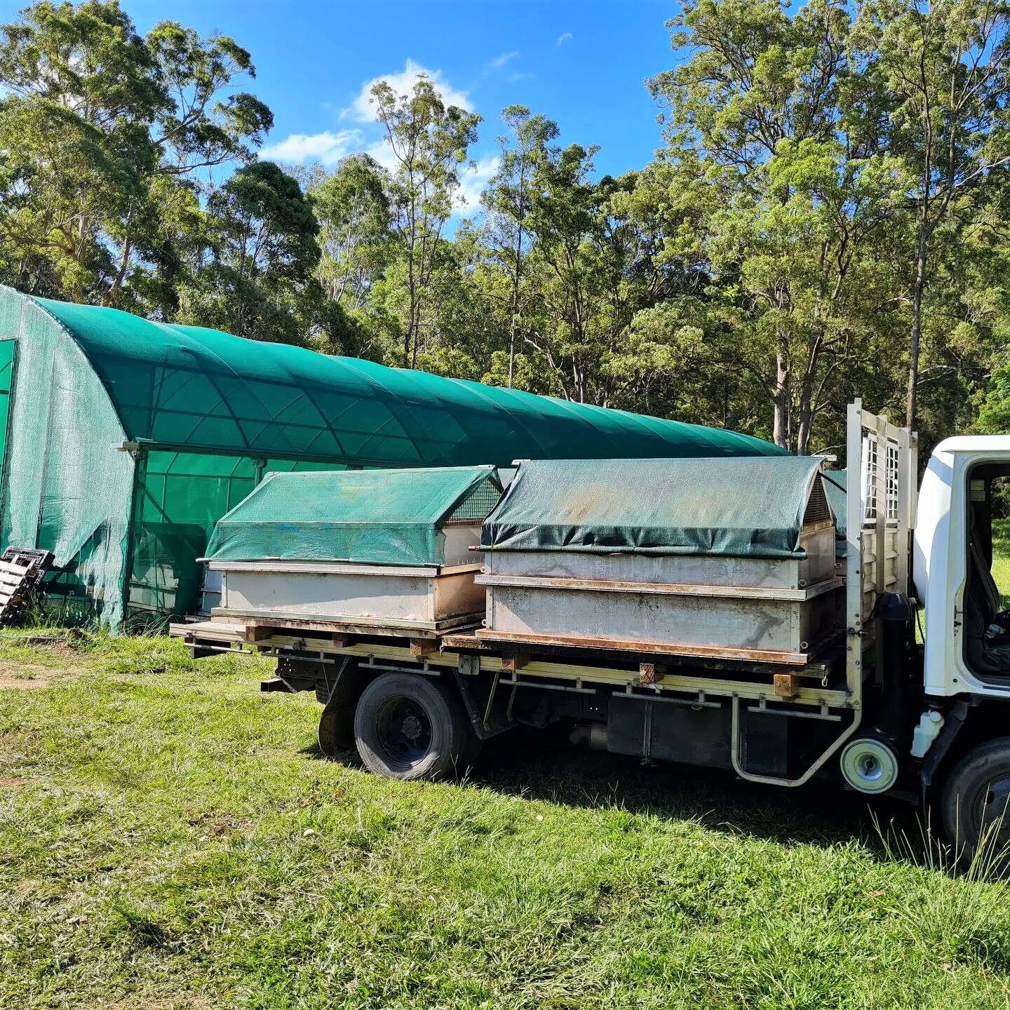 Sustainable worm farming business booming at Stony Creek, creating a ...