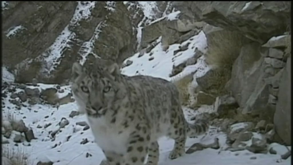 Central Queensland University to investigate effects of climate change ...