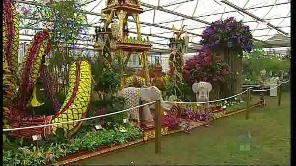Australian entry blossoms at flower show - ABC News