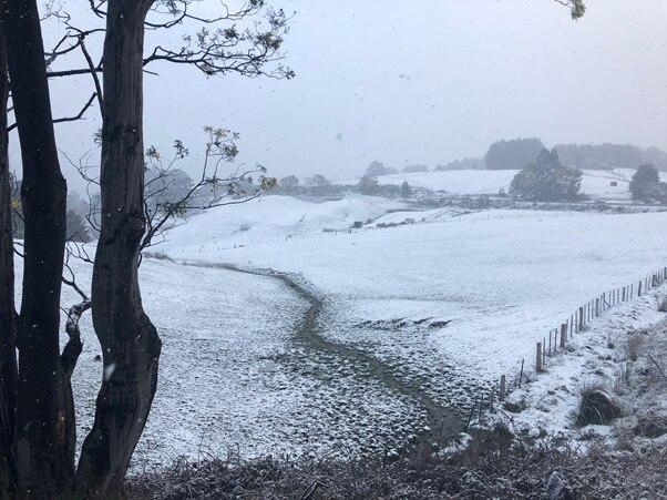 Snowfalls around Tasmania bring late winter wonderland to life - ABC News
