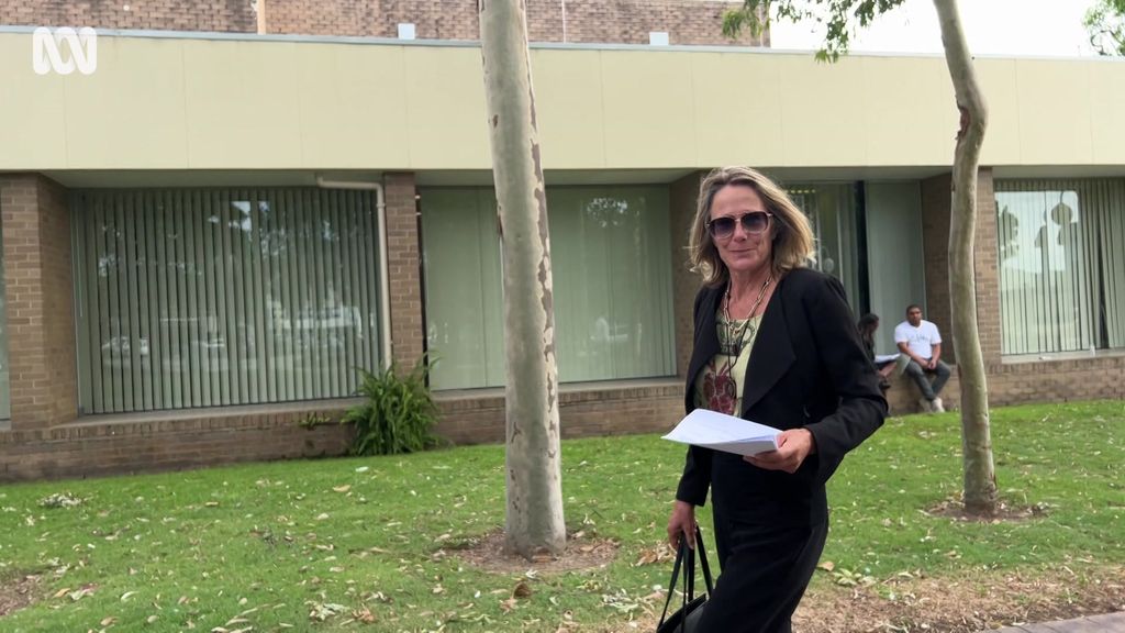 Former Eurobodalla Shire Mayor Liz Innes sentenced in Batemans Bay ...