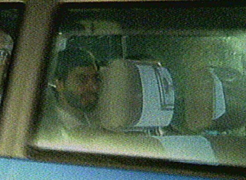 Haneef released from prison - ABC News