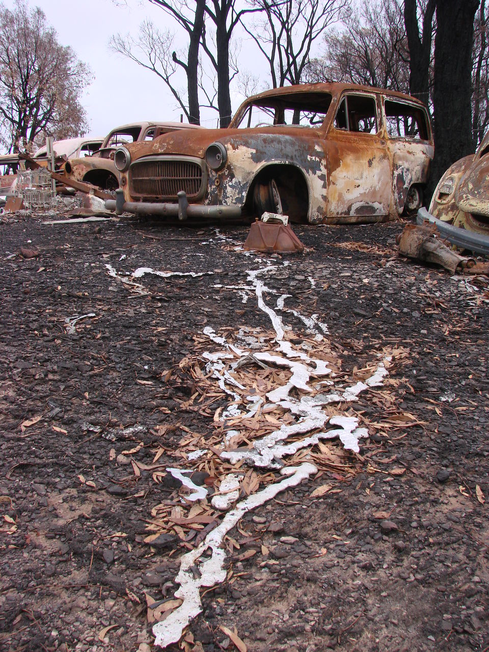 Bendigo fireground clean-up finally approved - ABC News