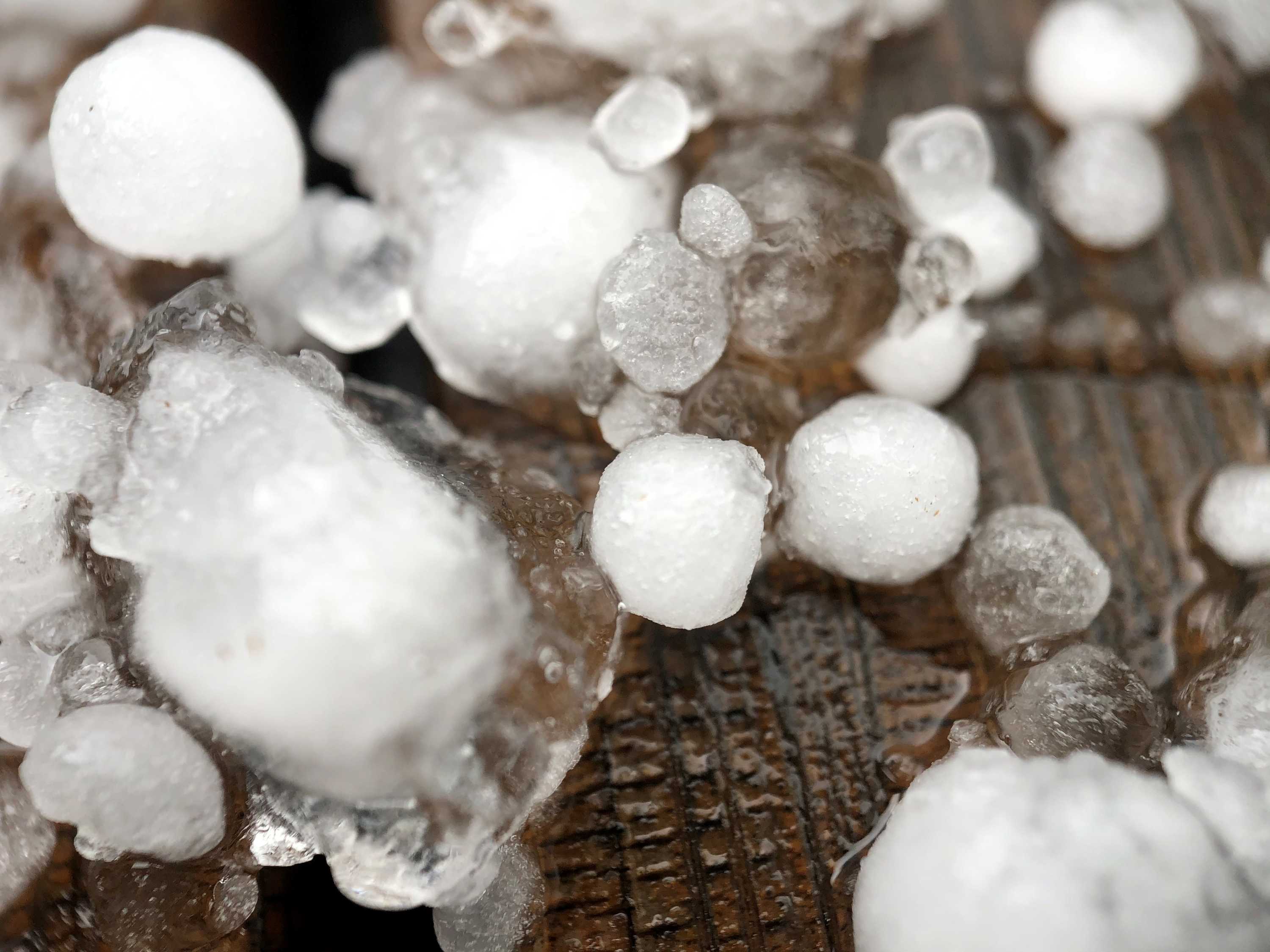 NSW farmers breathe easy after hail falls 'softly' on best crops in ...